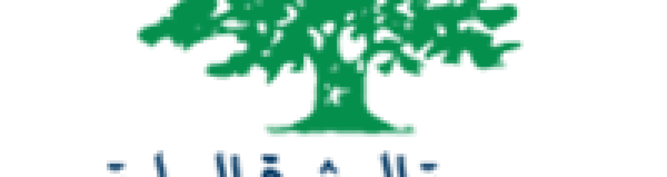 Mashrek International School - جمعية أجنحة الأمل